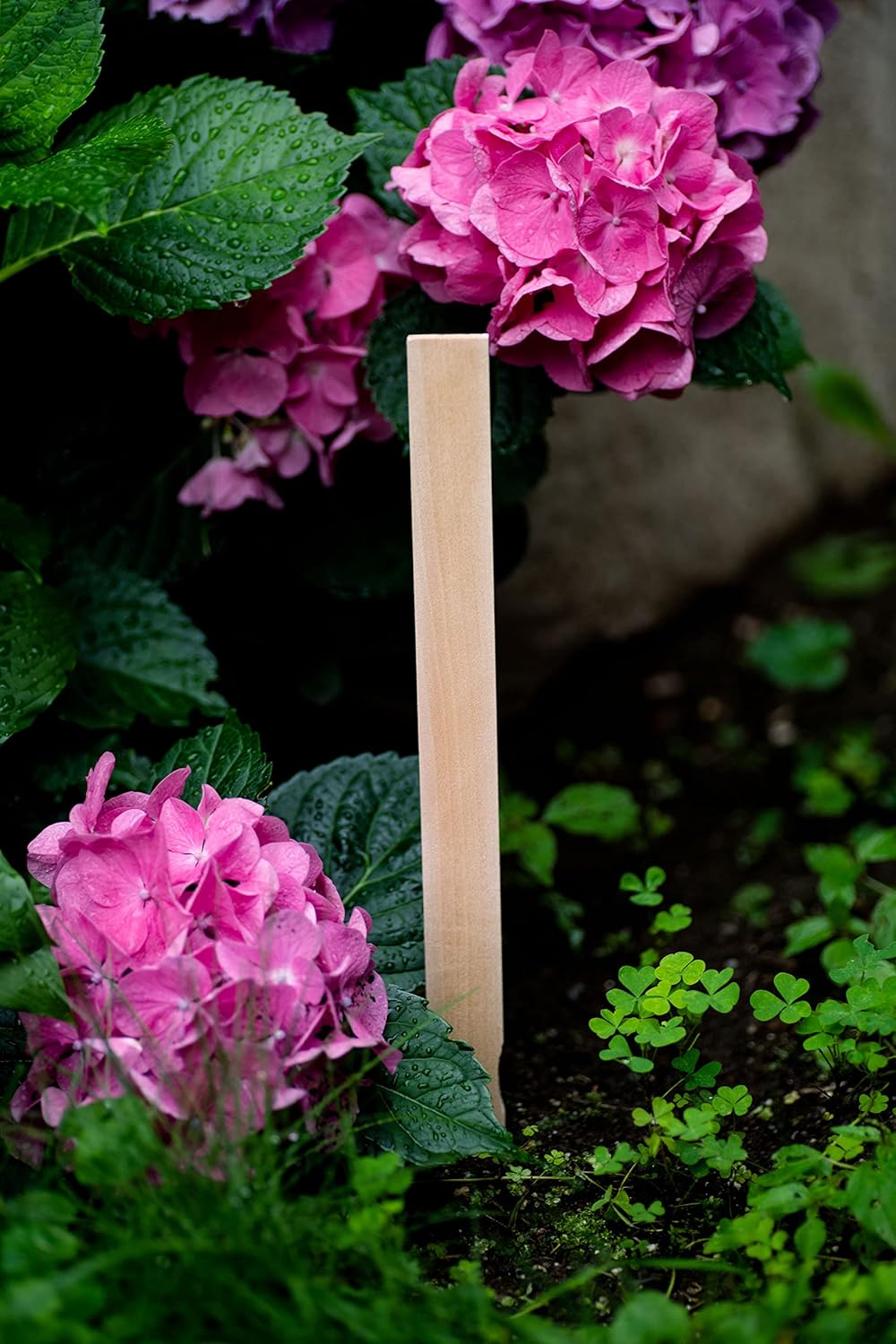 Paint Stir Sticks, 14 In. Bulk (1000 Pack), American-Made Basswood, Sm ...